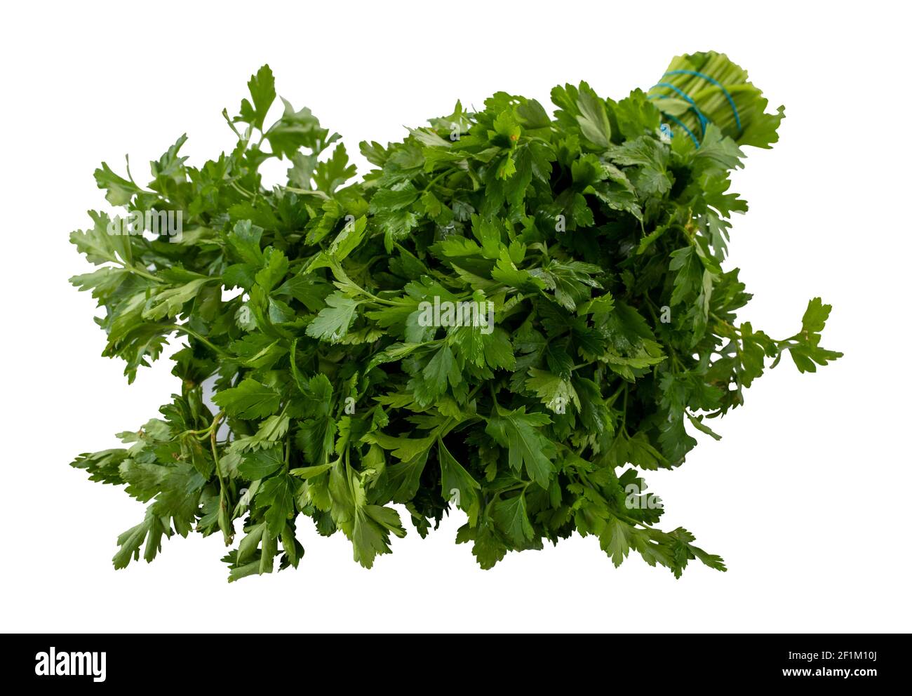 White parsley hi-res stock photography and images - Alamy