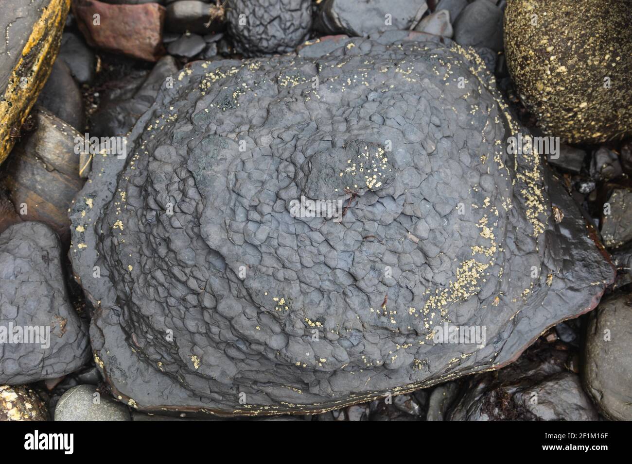 Stone with a beautiful Pattern Stock Photo - Alamy