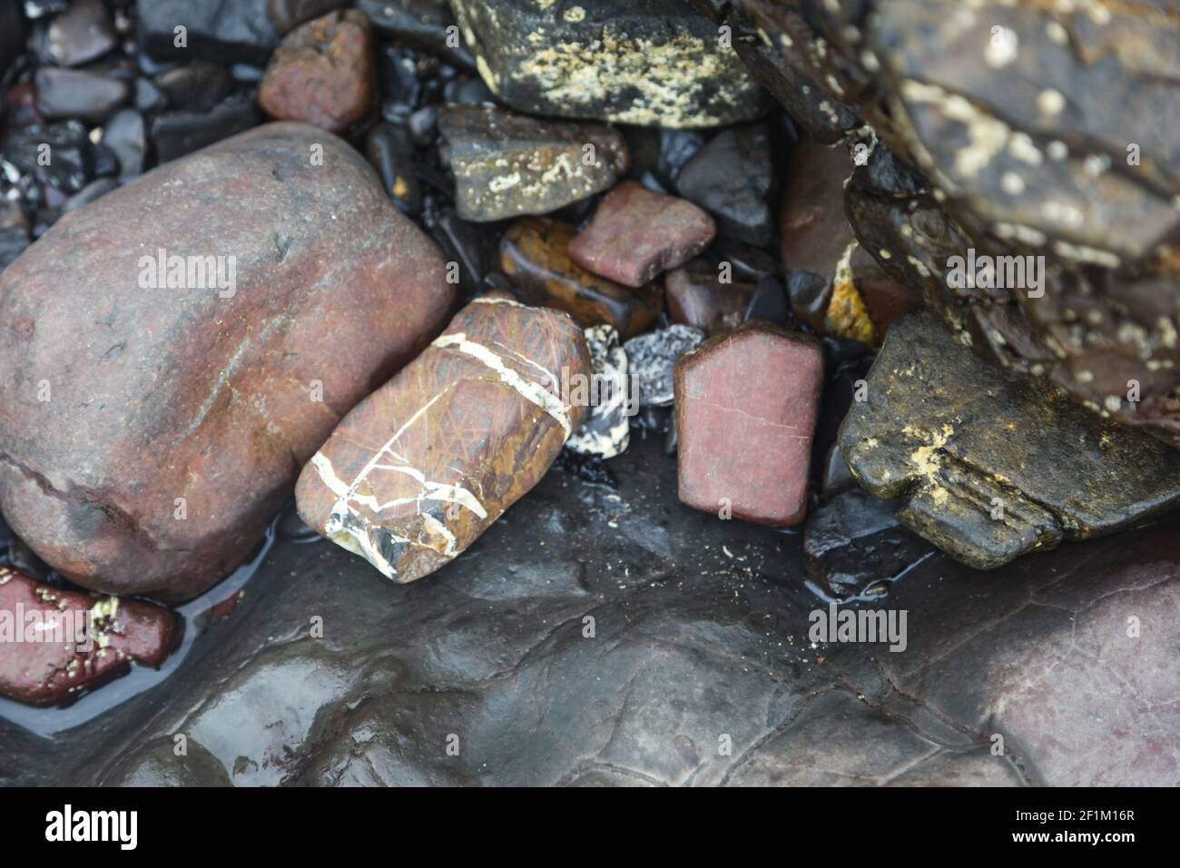 Stone with a beautiful Pattern Stock Photo - Alamy