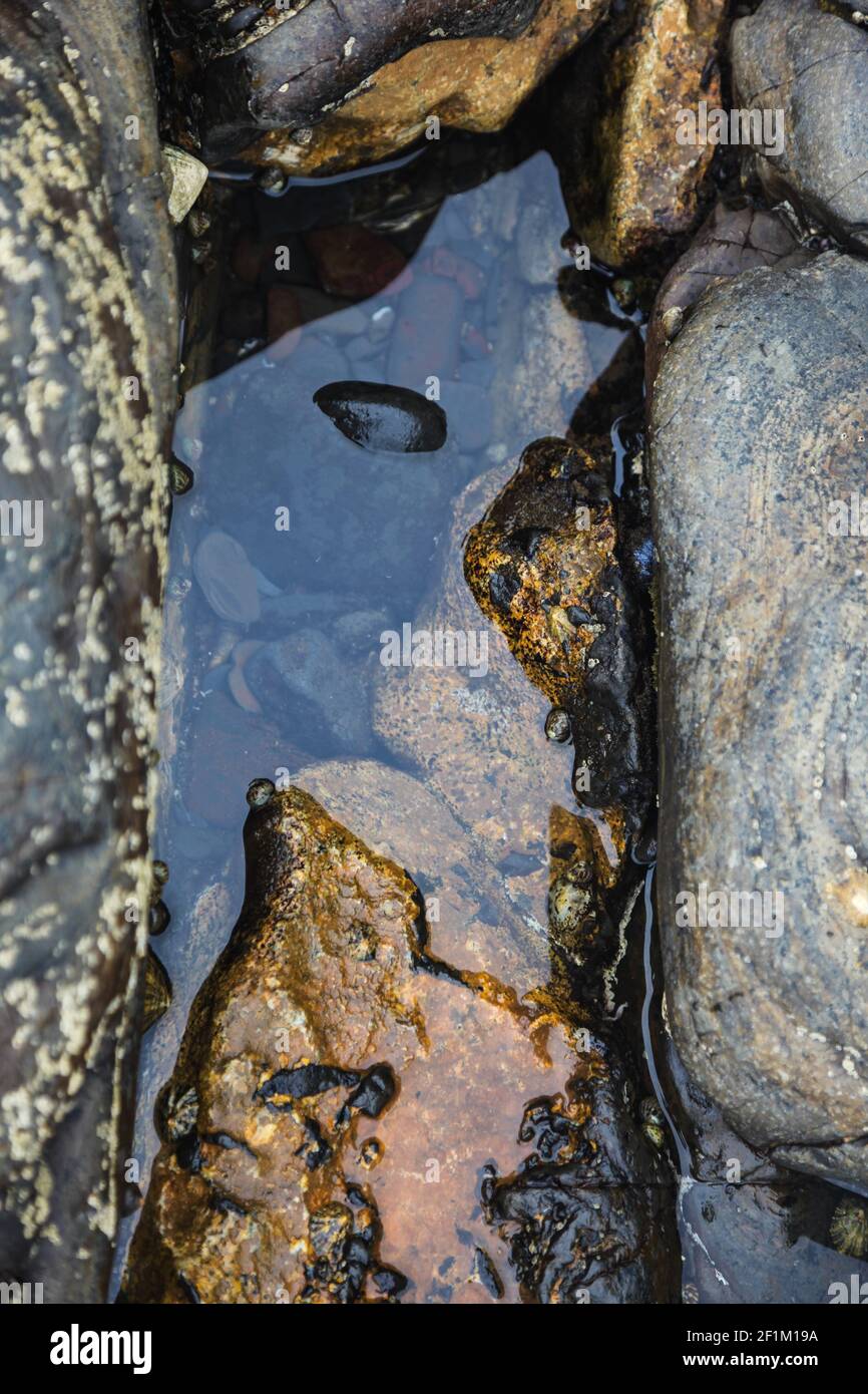 Water between stones Stock Photo - Alamy
