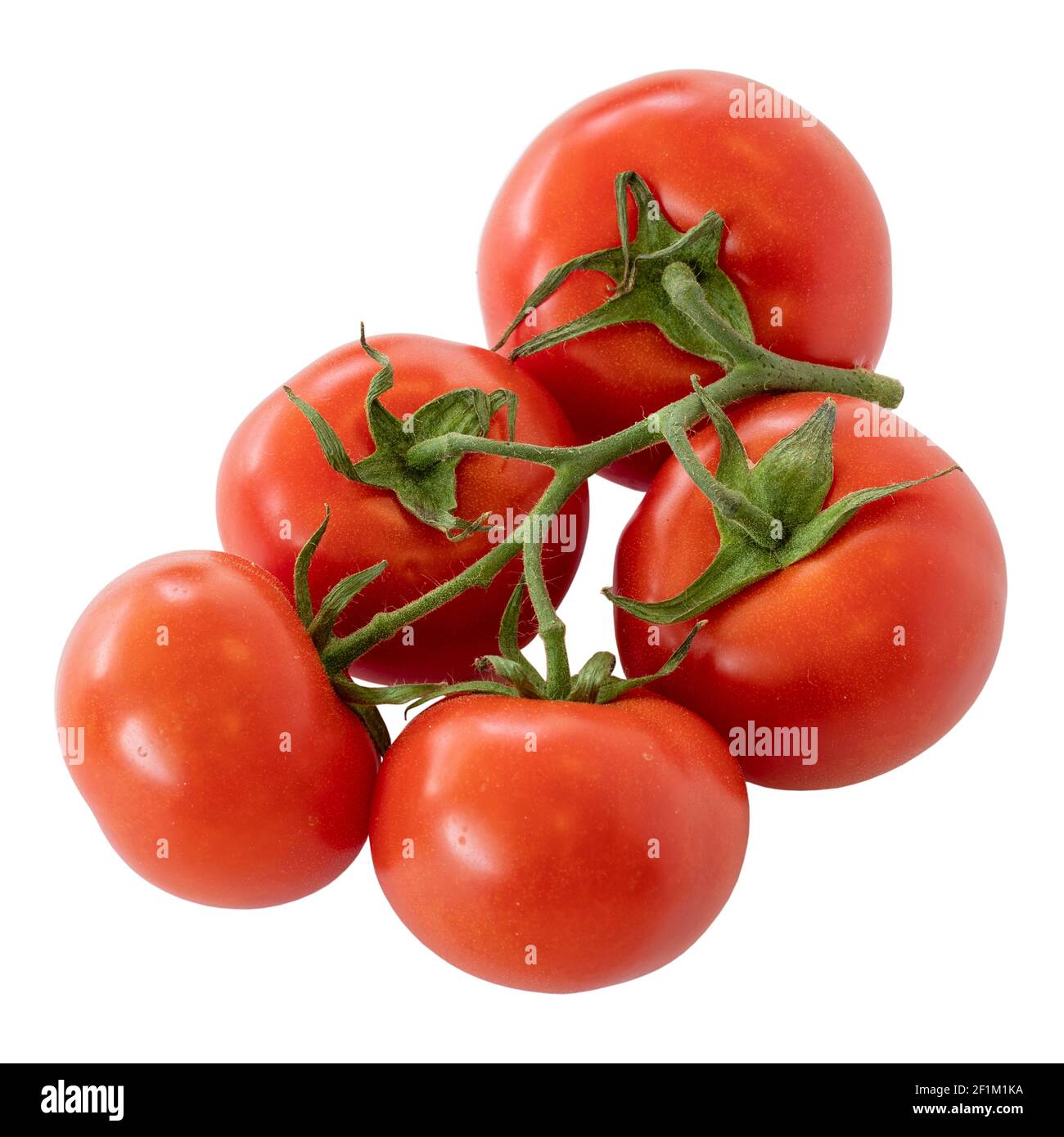 Fresh tomato bunch on Cut Out Stock Images & Pictures - Alamy
