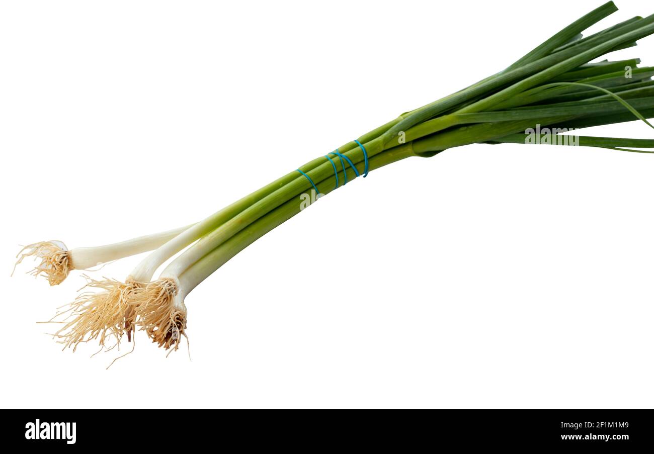 Fresh green garlici isolated on white background Stock Photo - Alamy