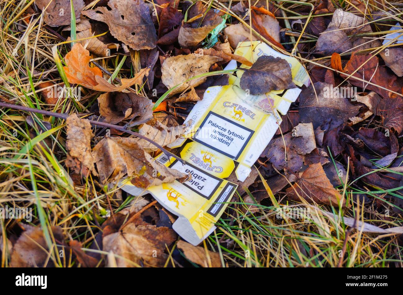 Wet cigarettes hi-res stock photography and images - Alamy