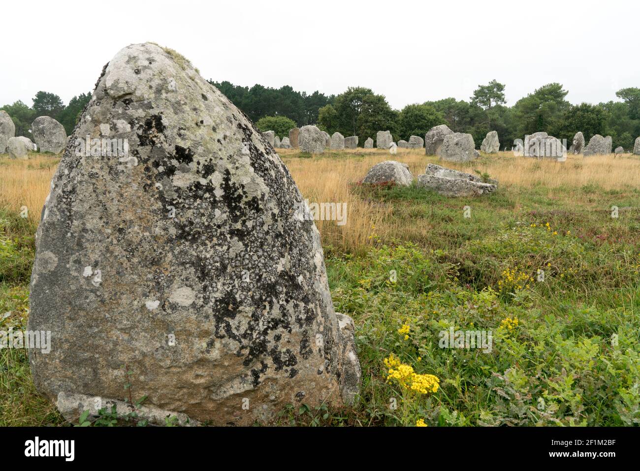 The standing stone alignments of Carnac in Brittany Stock Photo - Alamy