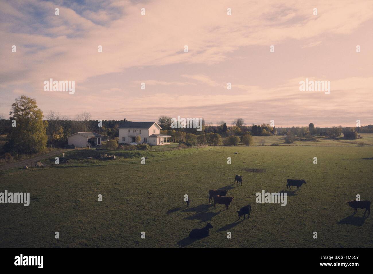 Aerial view of rural landscape Stock Photo - Alamy