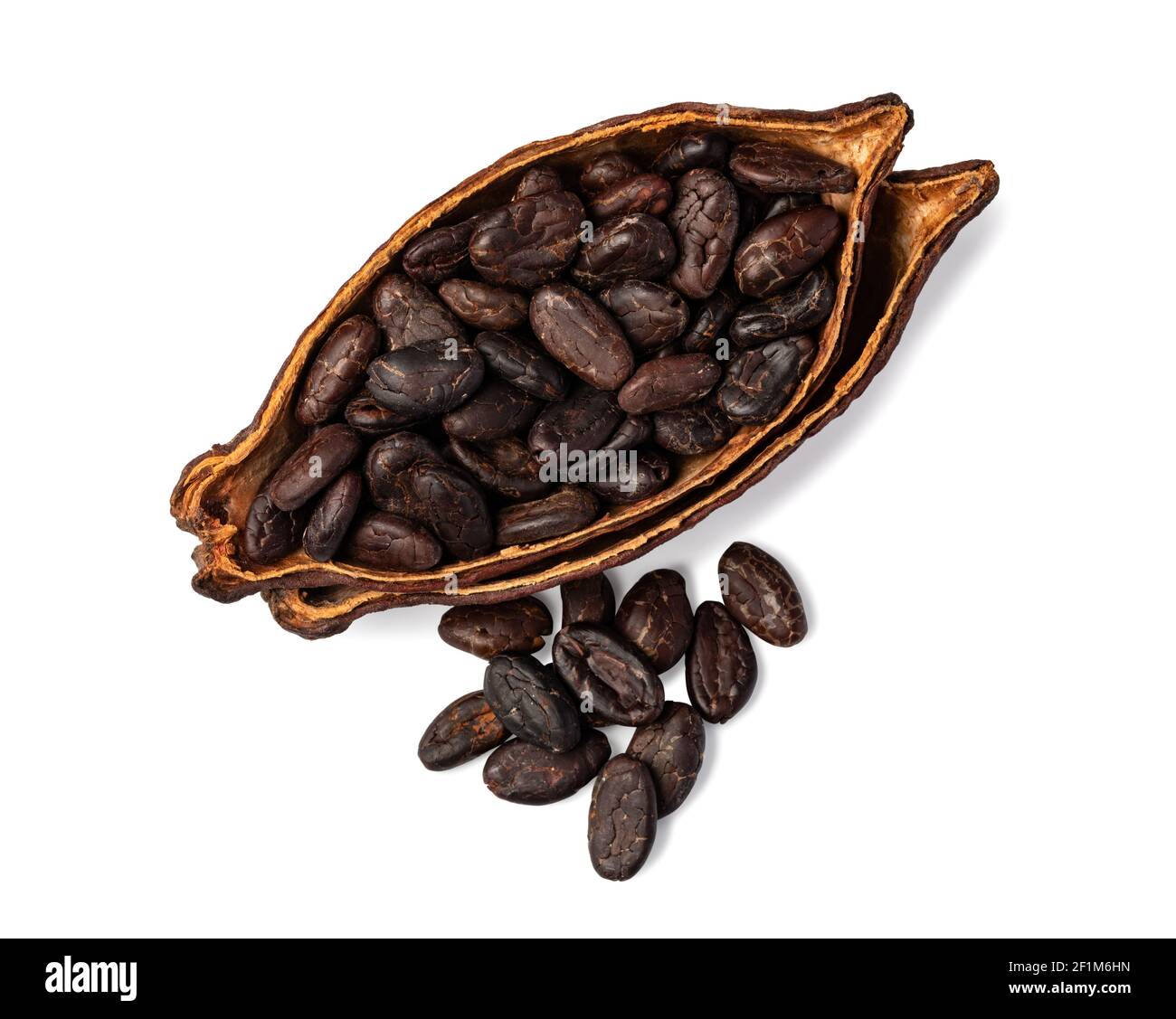 Cocoa plant Cut Out Stock Images & Pictures - Alamy