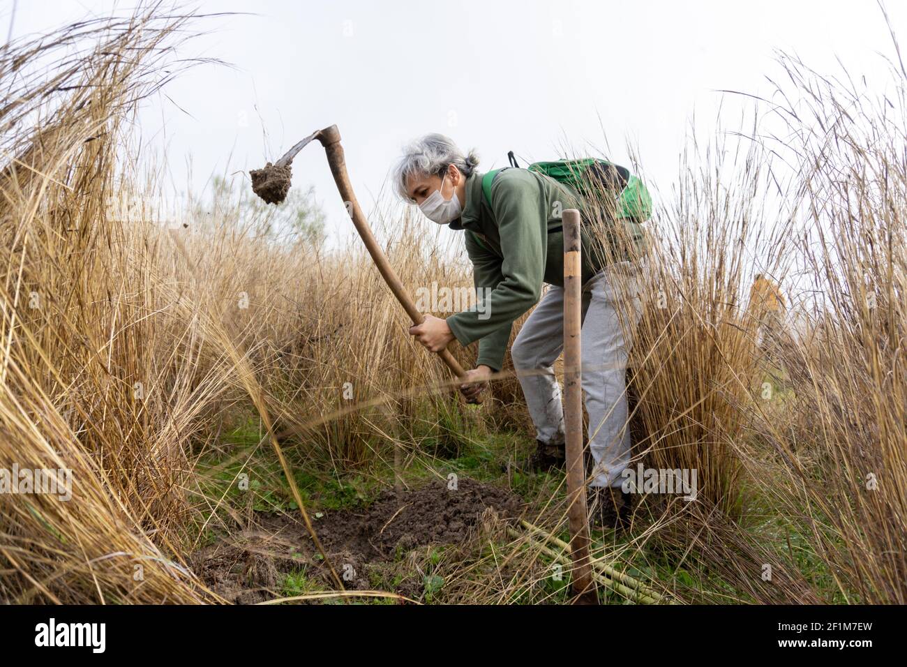 Stock photo of hard working woman wearing face mask using shovel in the ...