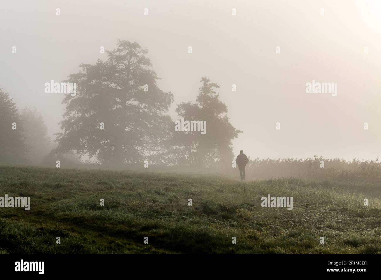 Alone man walking in fog Stock Photo - Alamy