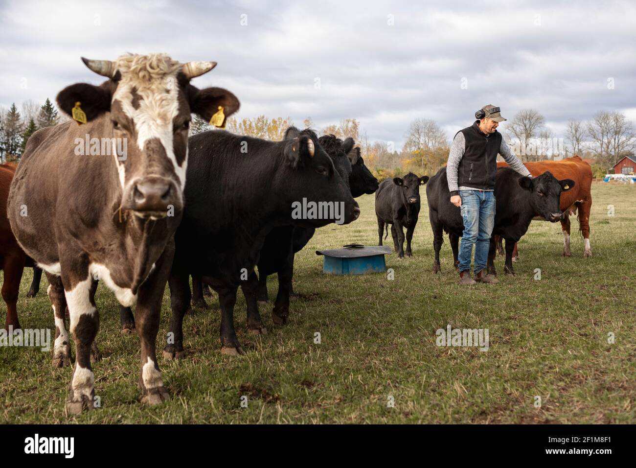 Outdoor farm life hi-res stock photography and images - Alamy