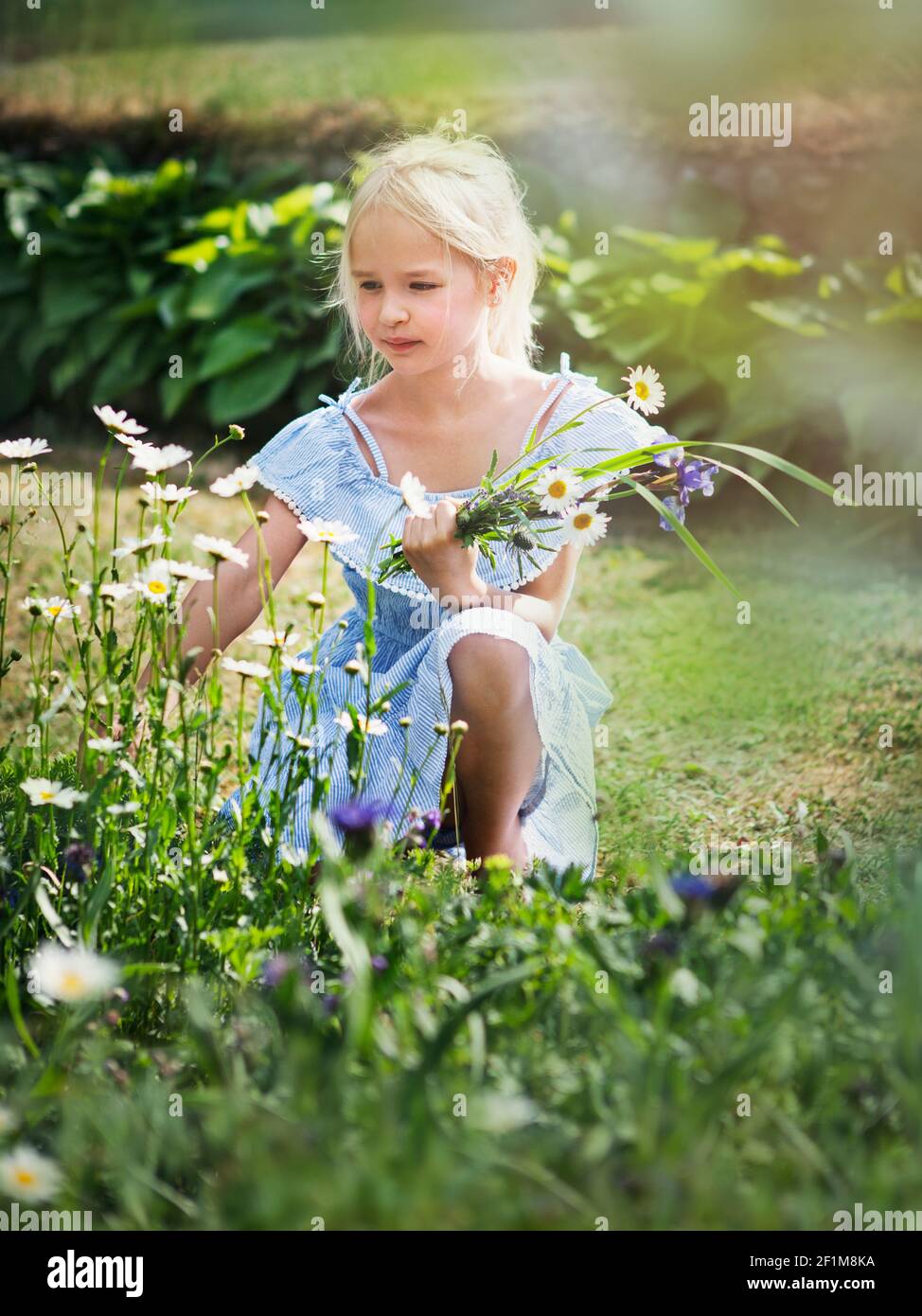 Children picking flowers hi-res stock photography and images - Alamy