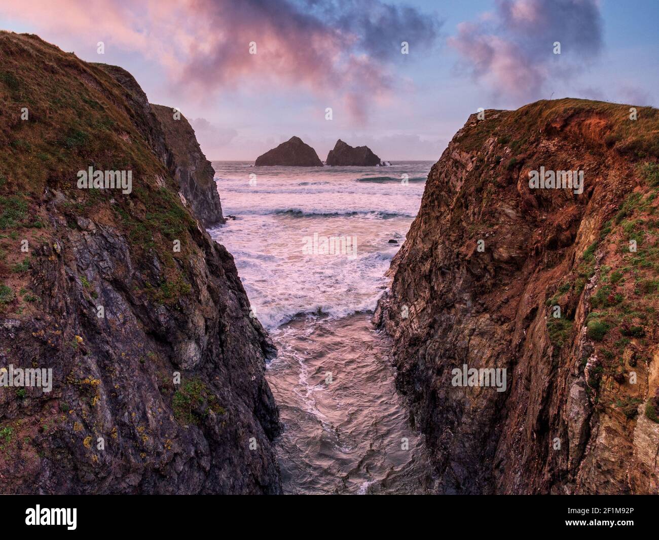 Gull rock cornwall hi-res stock photography and images - Alamy