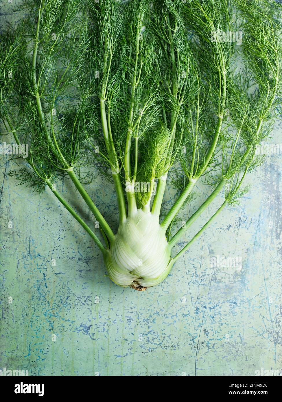 Fennel dish hi-res stock photography and images - Alamy
