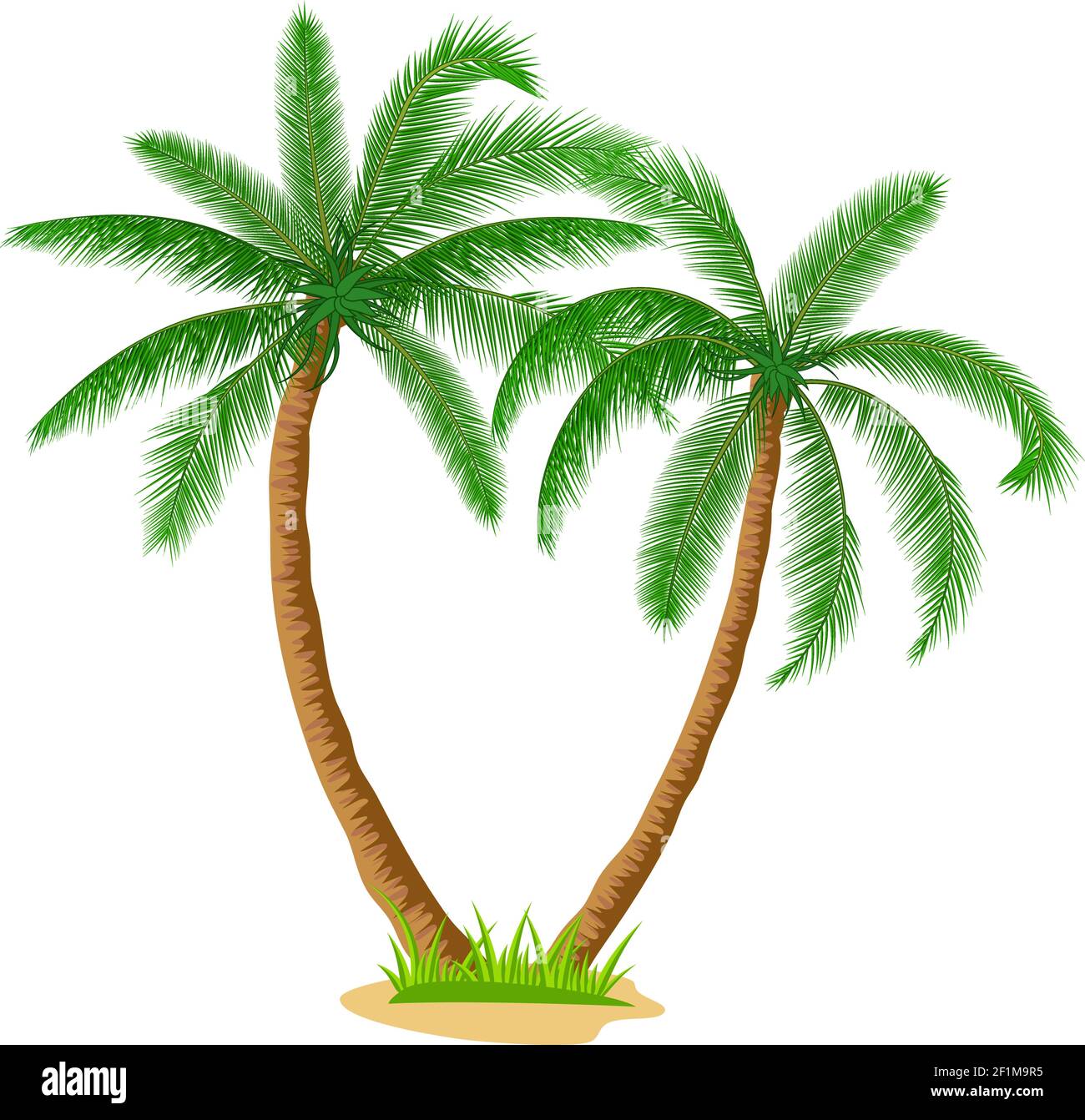 Shade coconut tree on Stock Vector Images - Alamy