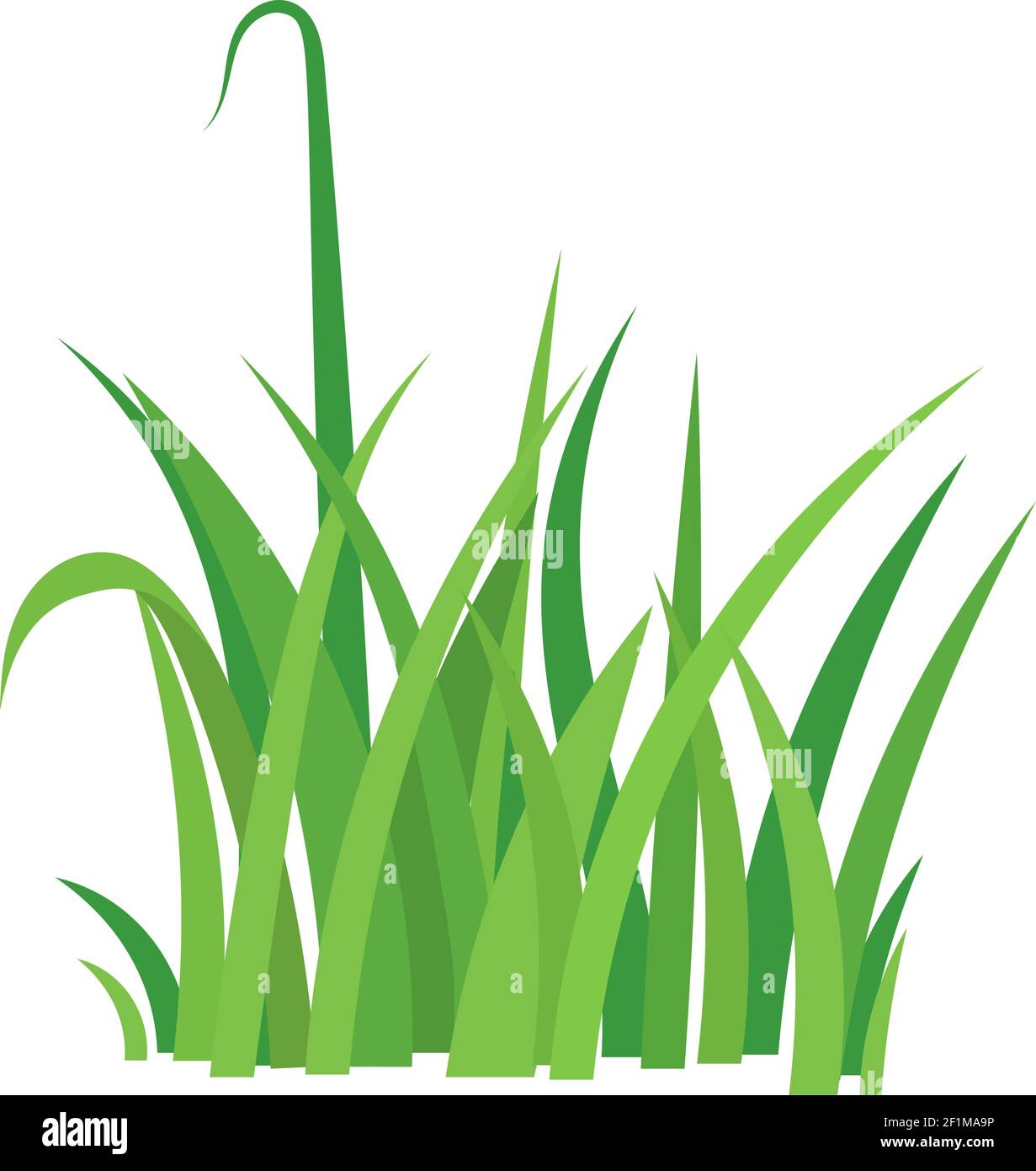 Border fragment Cut Out Stock Images & Pictures - Alamy