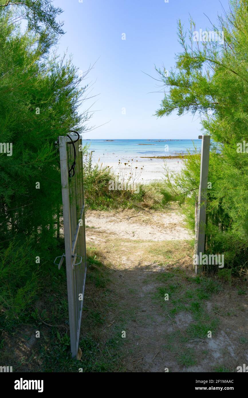 Beach access gate through a fence and thick green bushes lead to a nice ...