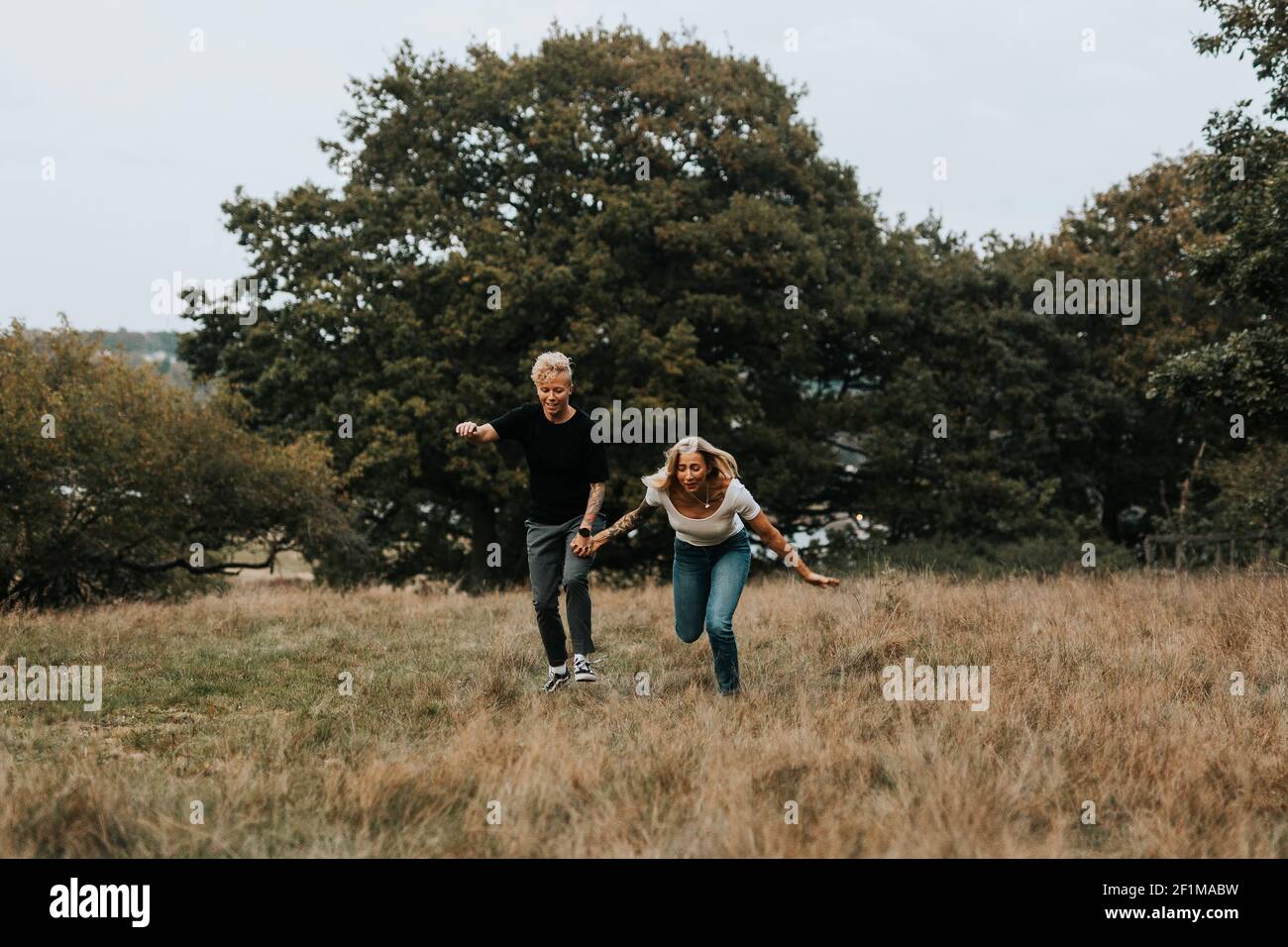 Running through meadow hi-res stock photography and images - Alamy