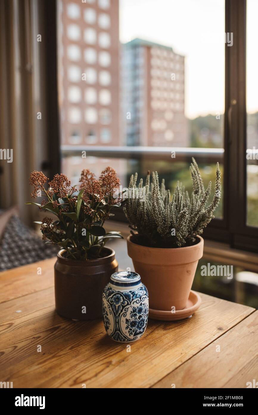 Potted plant plants hi-res stock photography and images - Alamy