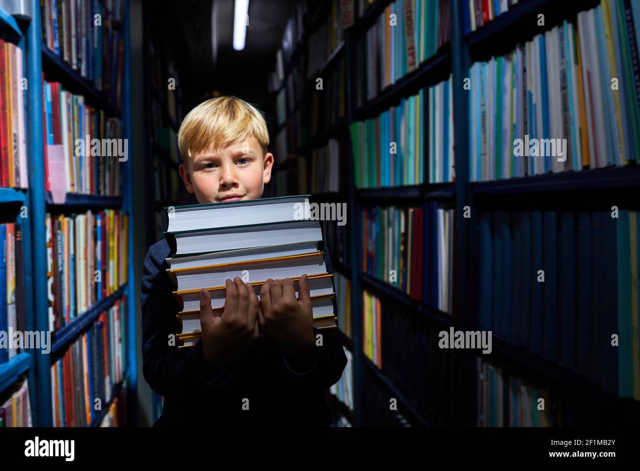 child boy holding stack of books in library at school, preparing for ...
