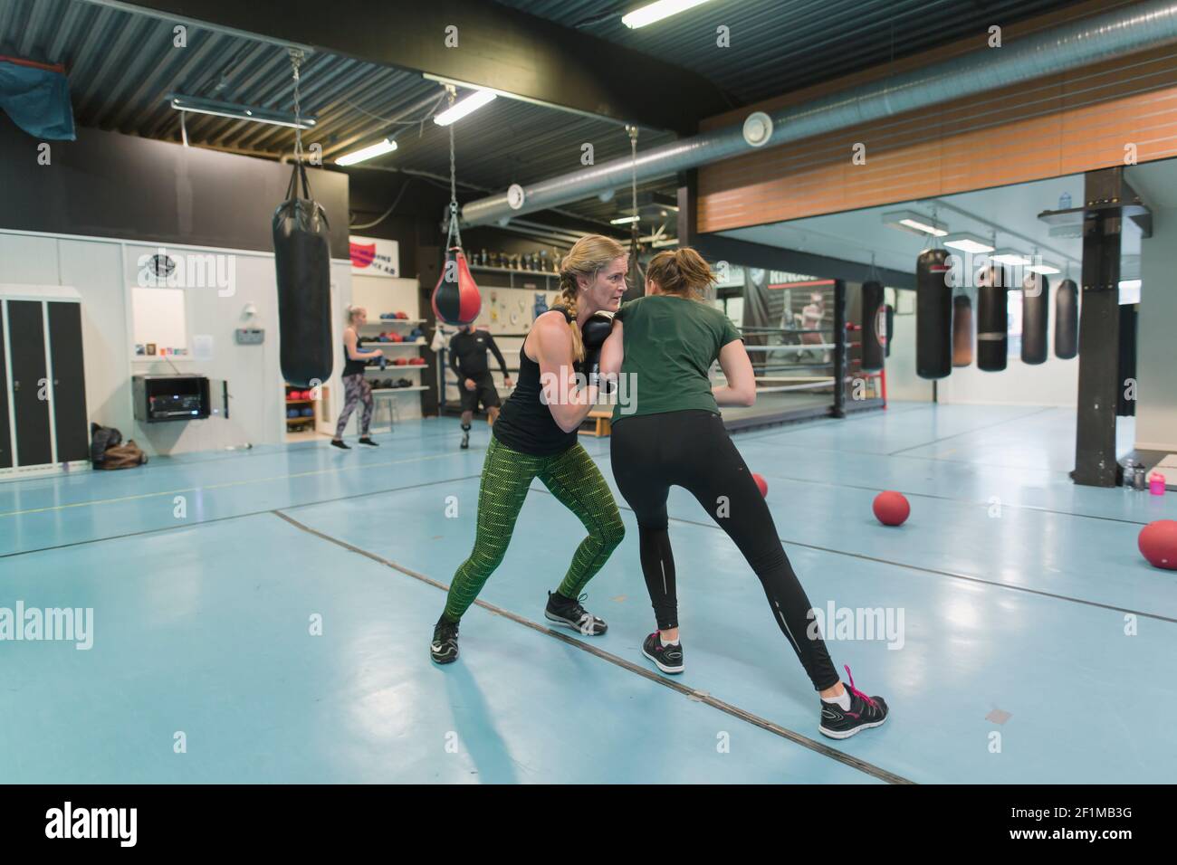 Female boxers working out together in boxing gym Stock Photo - Alamy