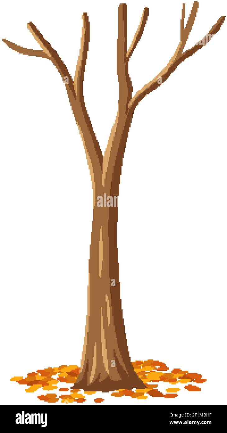 Isolated autumn tree on white background illustration Stock Vector ...