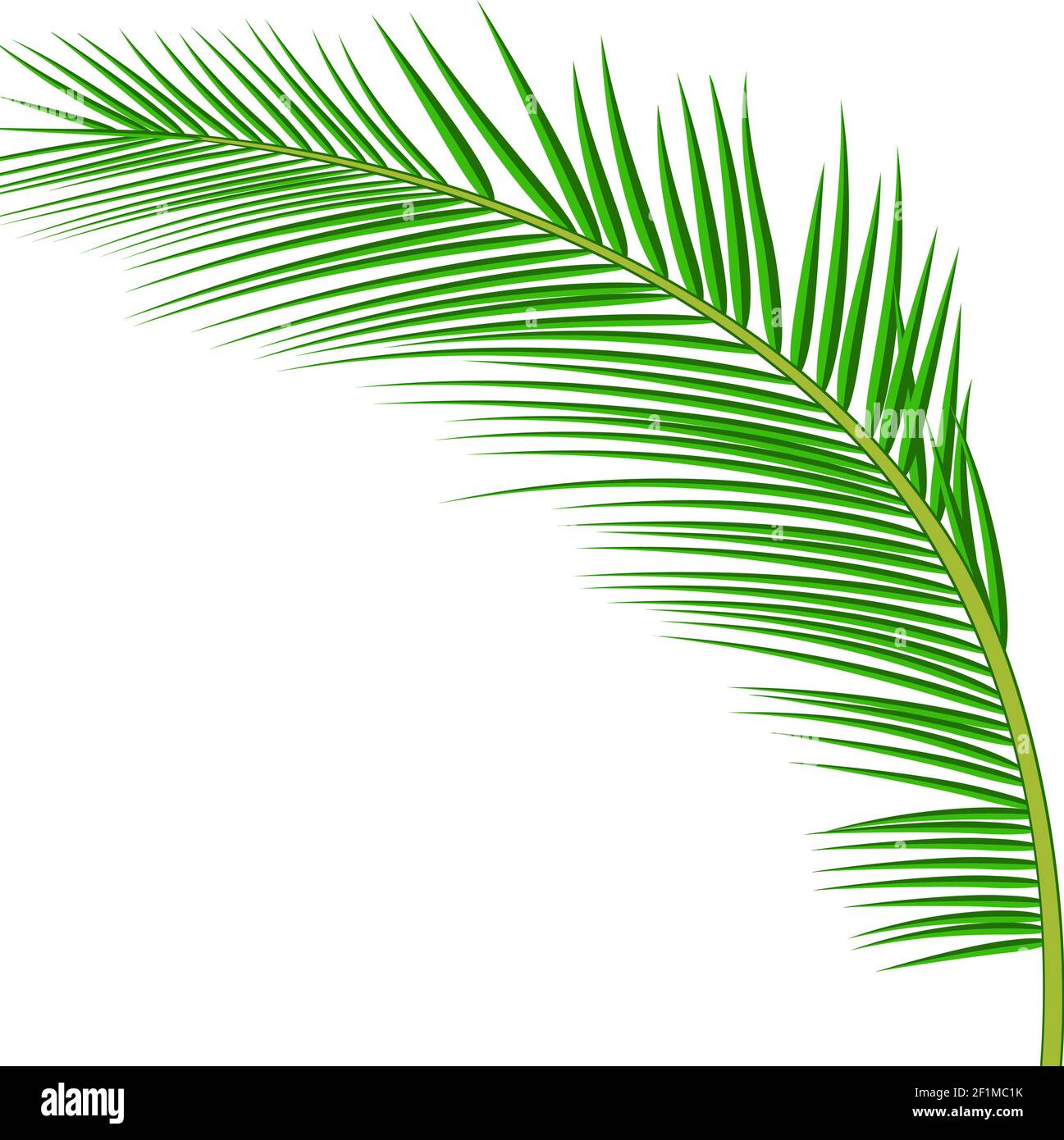 Background green leaves spa Stock Vector Images - Alamy