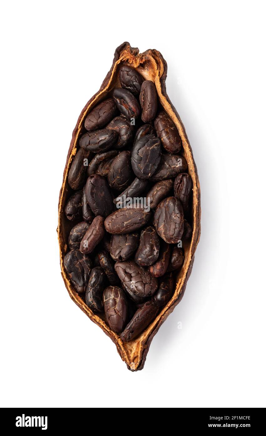 Cocoa plant Cut Out Stock Images & Pictures - Alamy