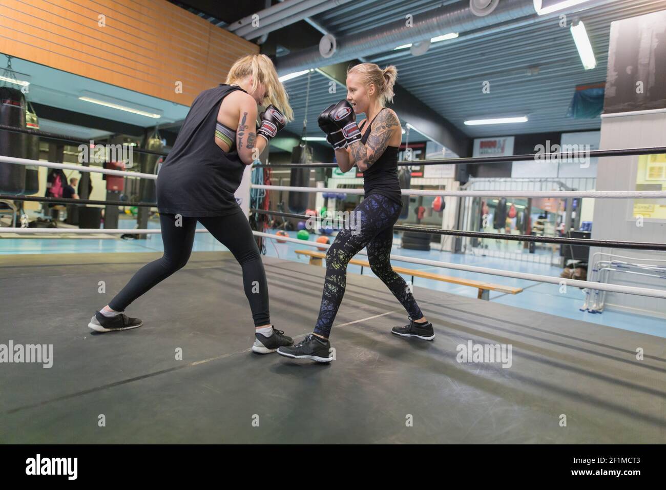 Female boxers hi-res stock photography and images - Alamy