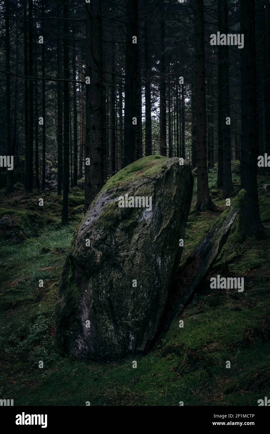 Boulder in forest hi-res stock photography and images - Alamy