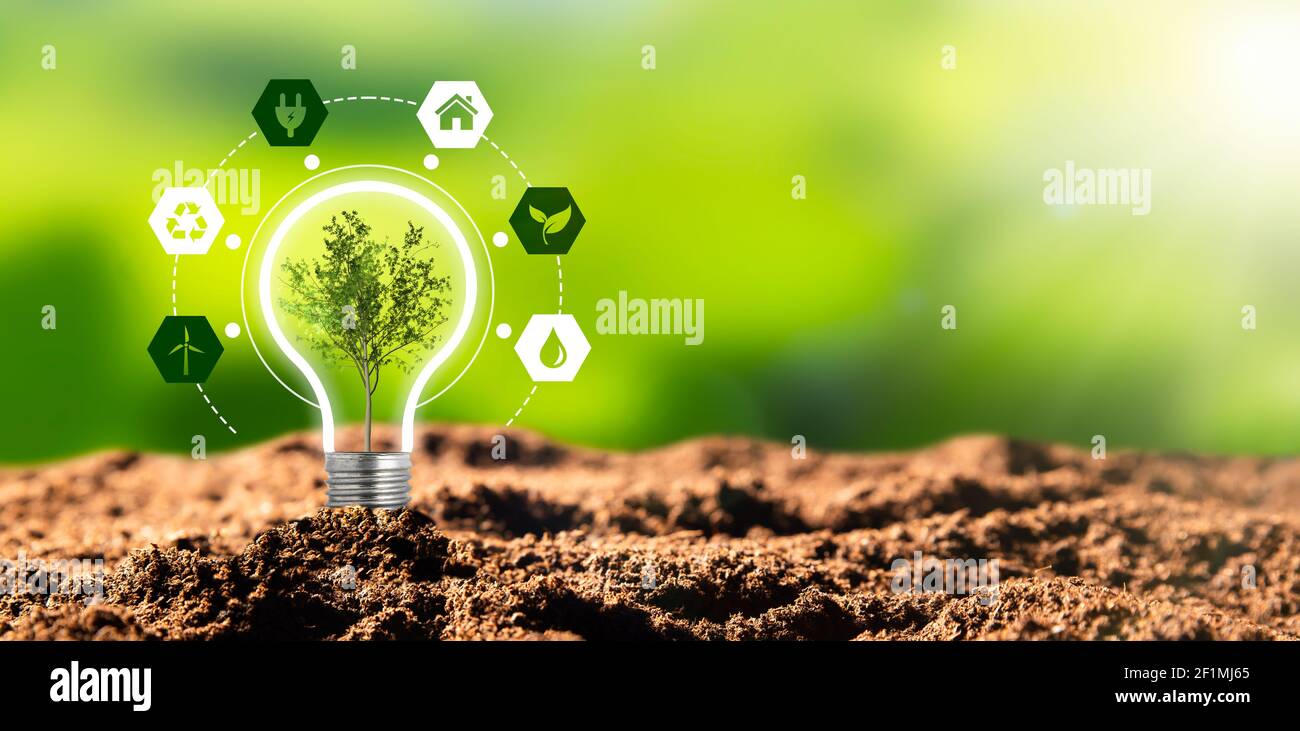 Environmental protection, renewable, sustainable energy sources. Plant ...