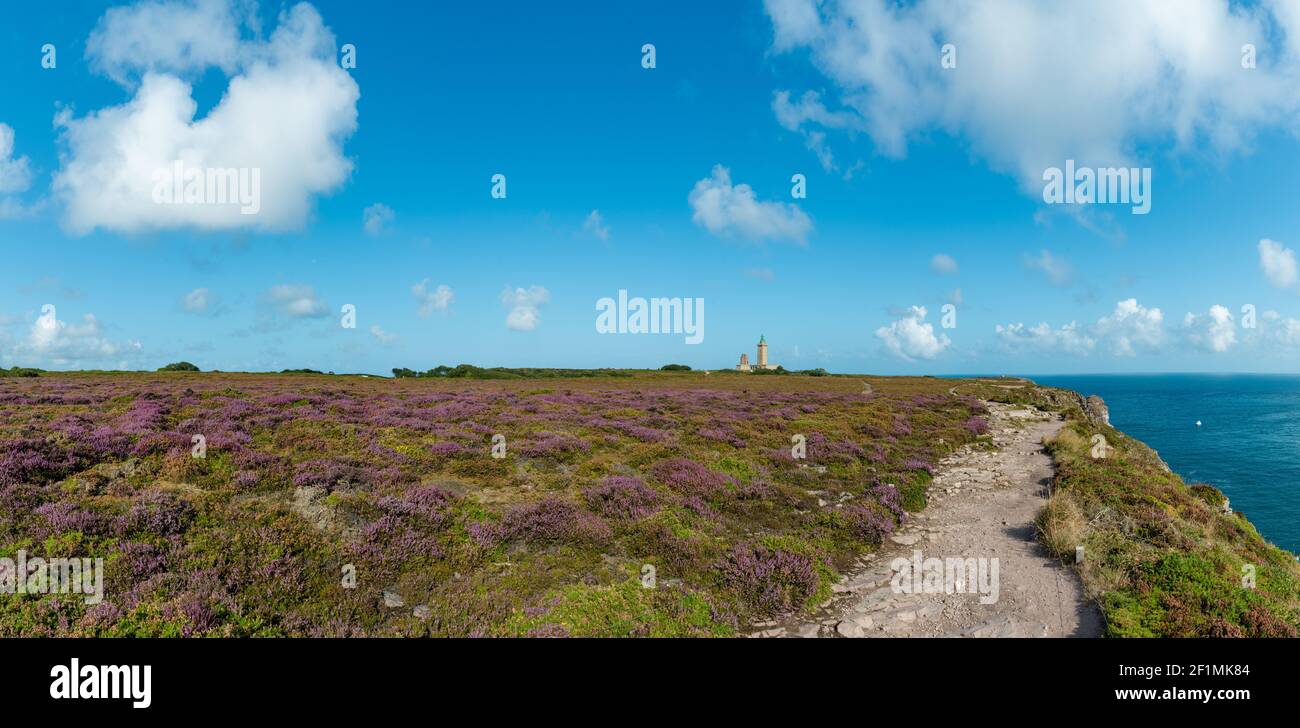 Hiking trail through lilac heath meadows on the Brittany coast with Cap ...