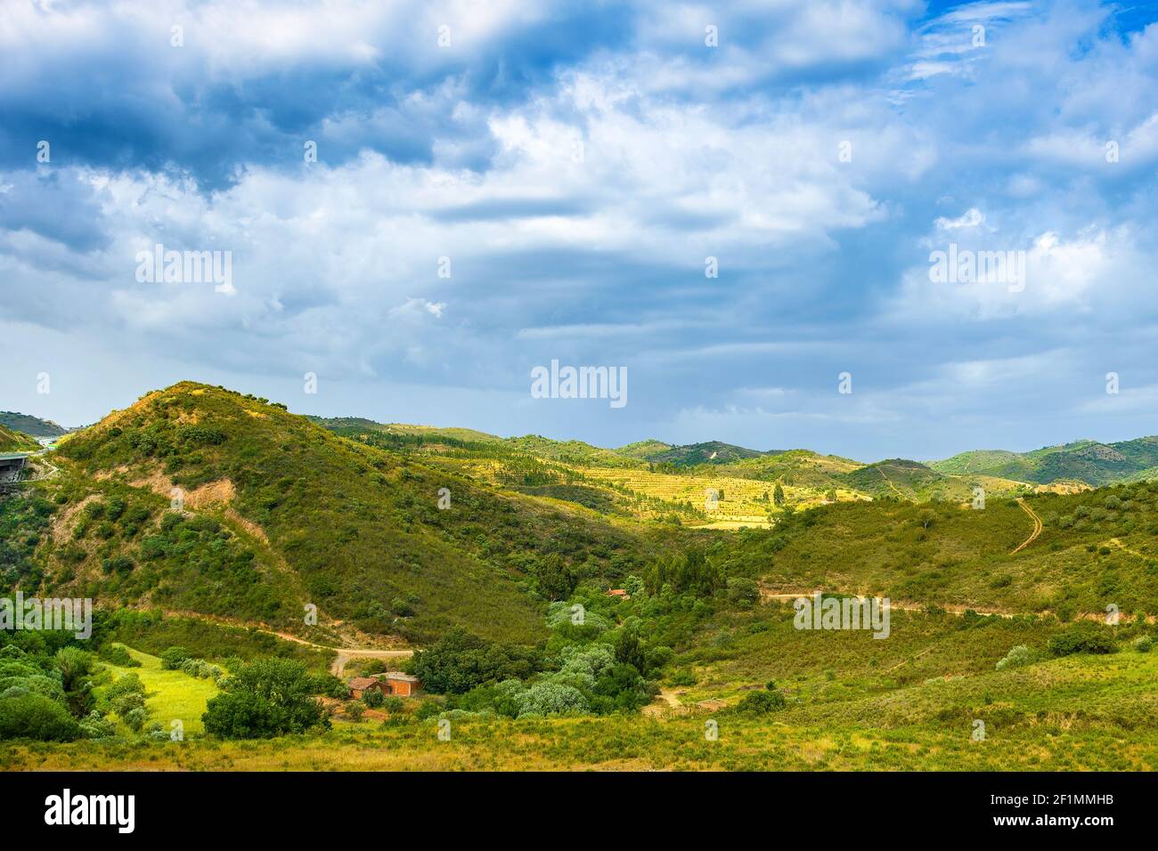 Beautiful rural landscape with yellow field and trees on the hills ...
