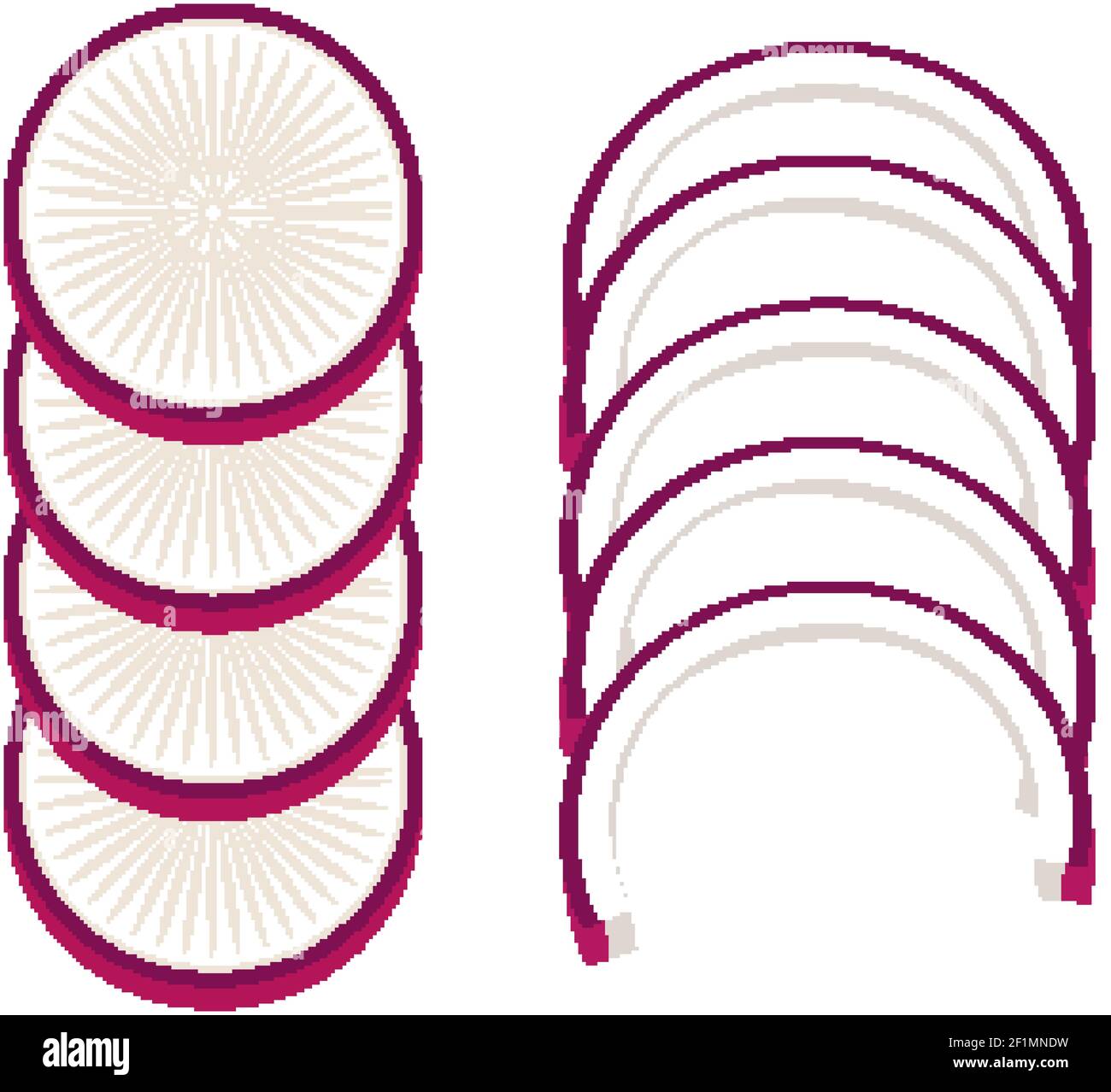 Radish sliced ingredient isolated illustration Stock Vector Image & Art ...