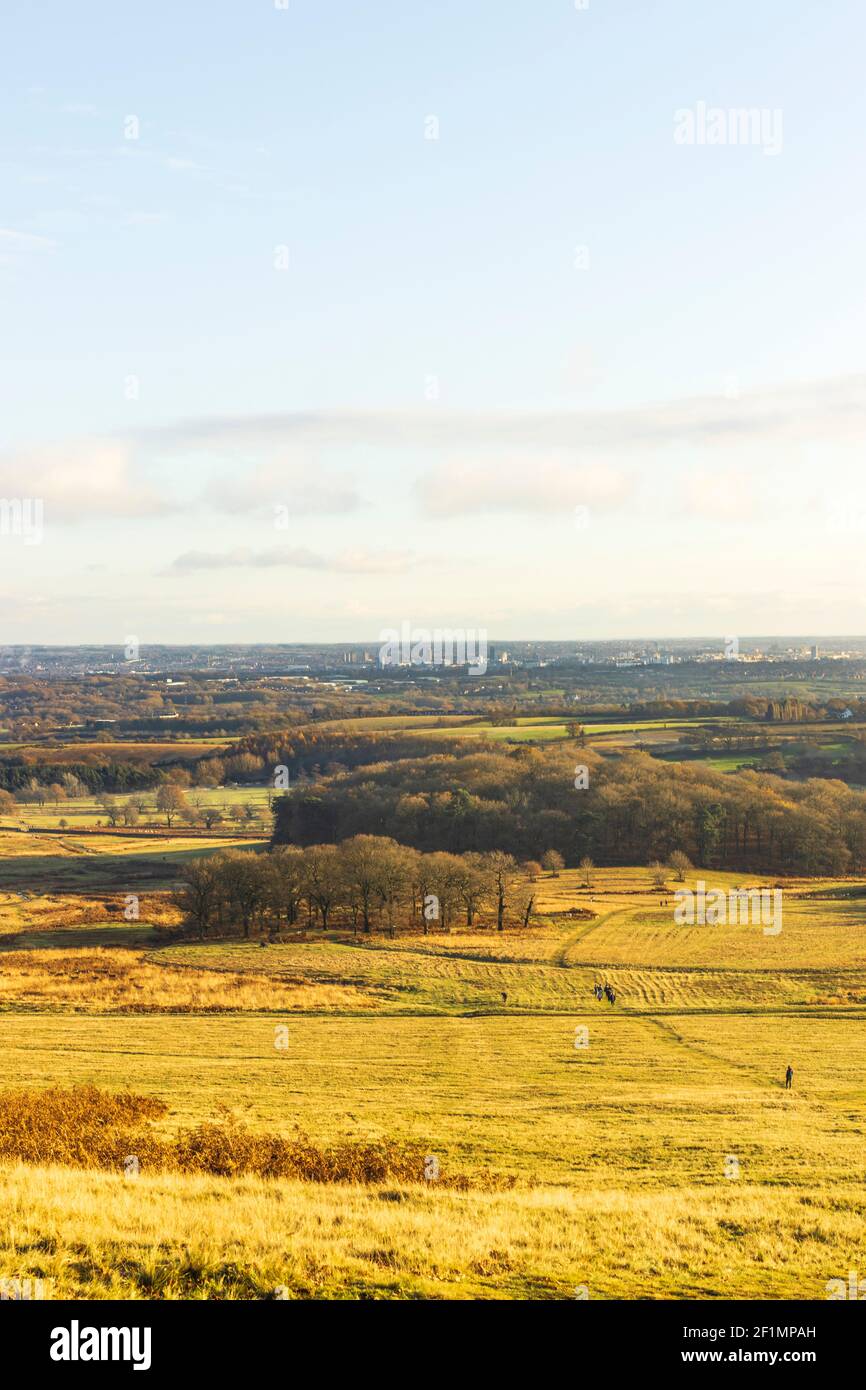 Large green grass area, a path going down, large forest areas, and ...