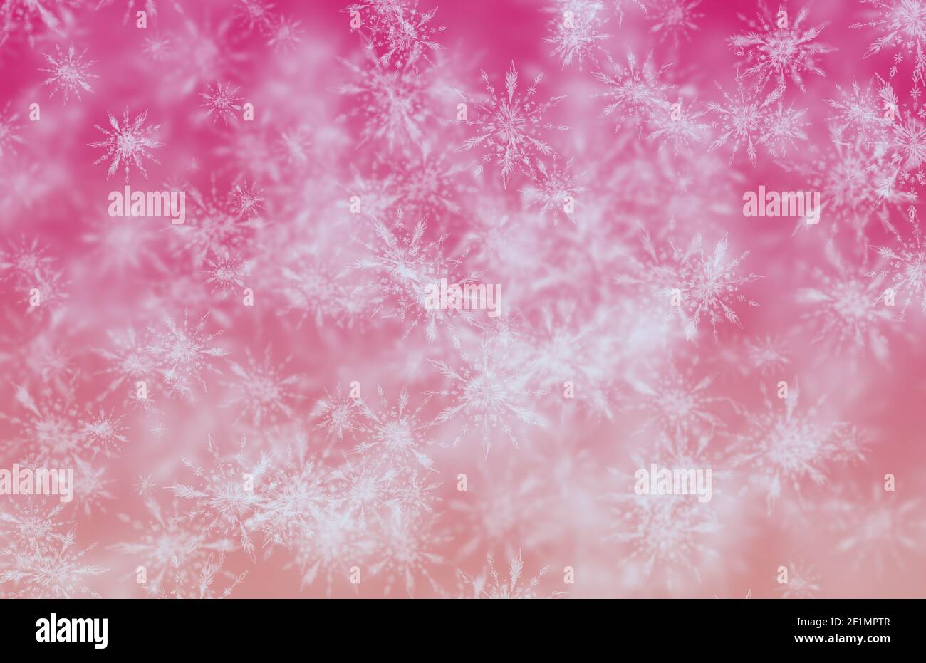 Abstract pink snowflakes background Stock Photo - Alamy