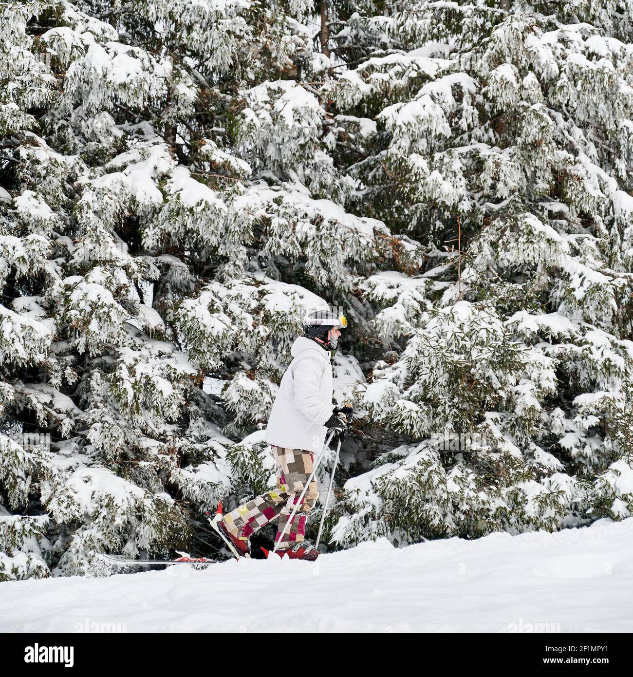 Side view skier using hi-res stock photography and images - Alamy