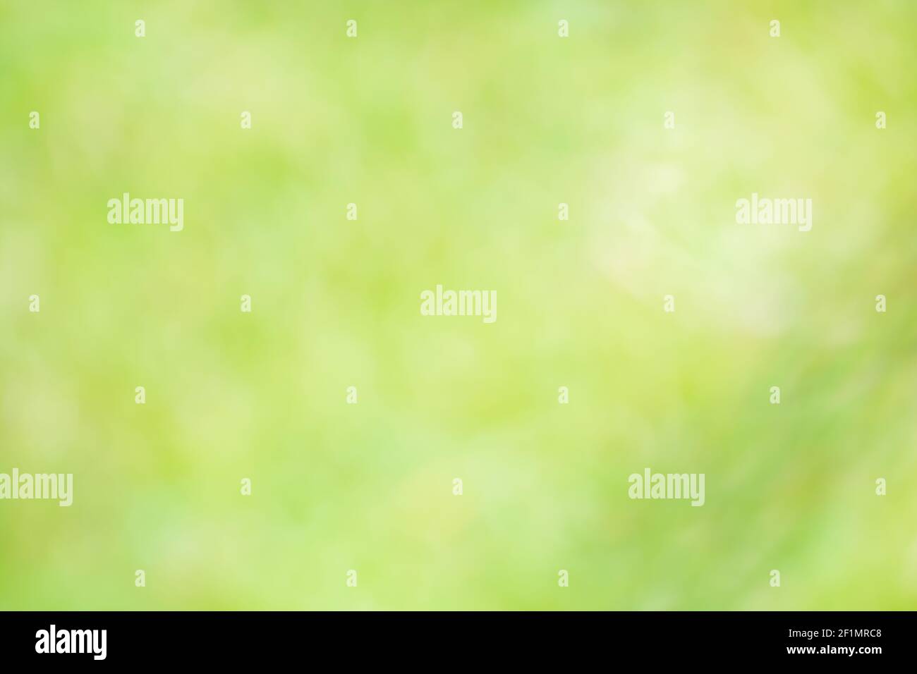 Light green color background with white. Natural texture Stock Photo ...