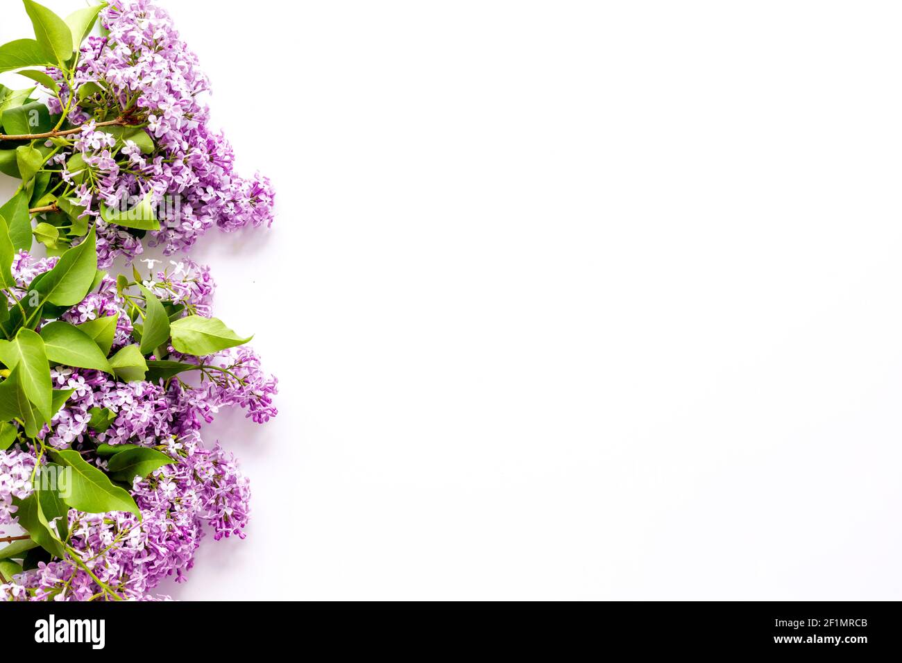 Branch of pink lilac flowers. Top view, copy space Stock Photo - Alamy