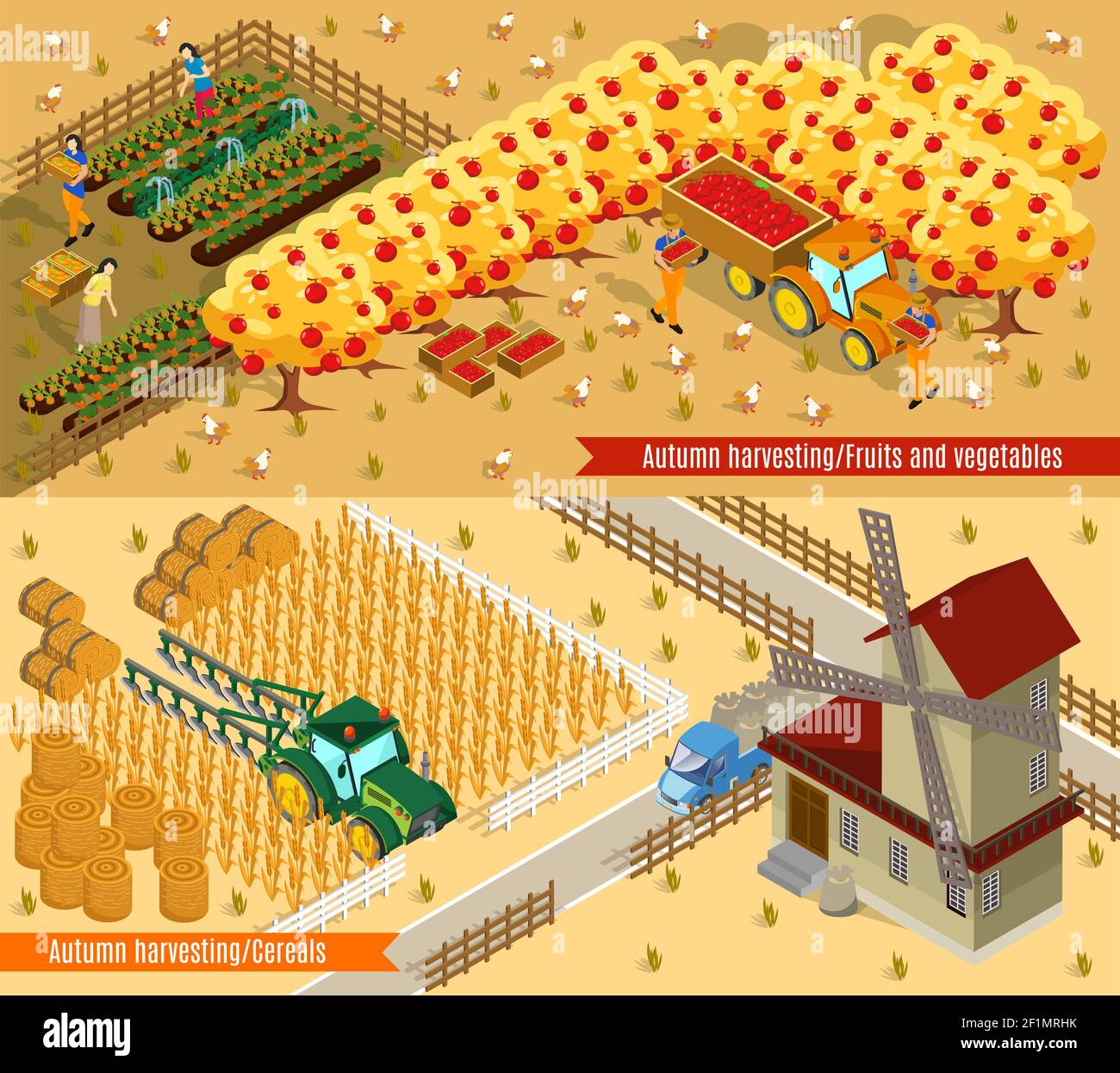 Farming wheat process Stock Vector Images - Alamy