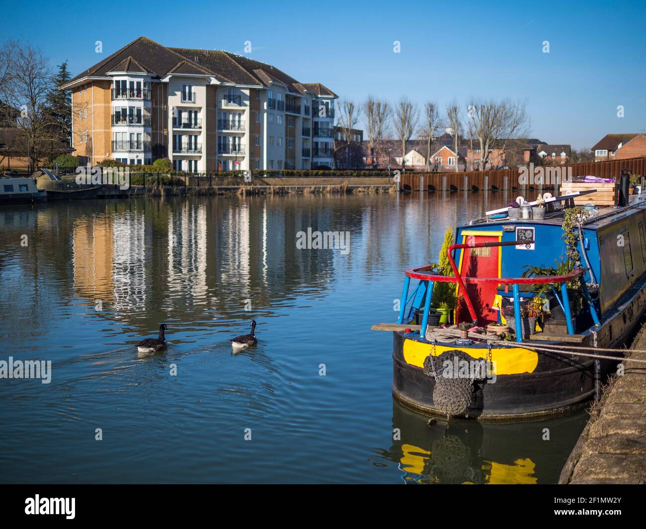 Colourful Narrow Boat, River Thames, Reading, Berkshire, England, UK ...