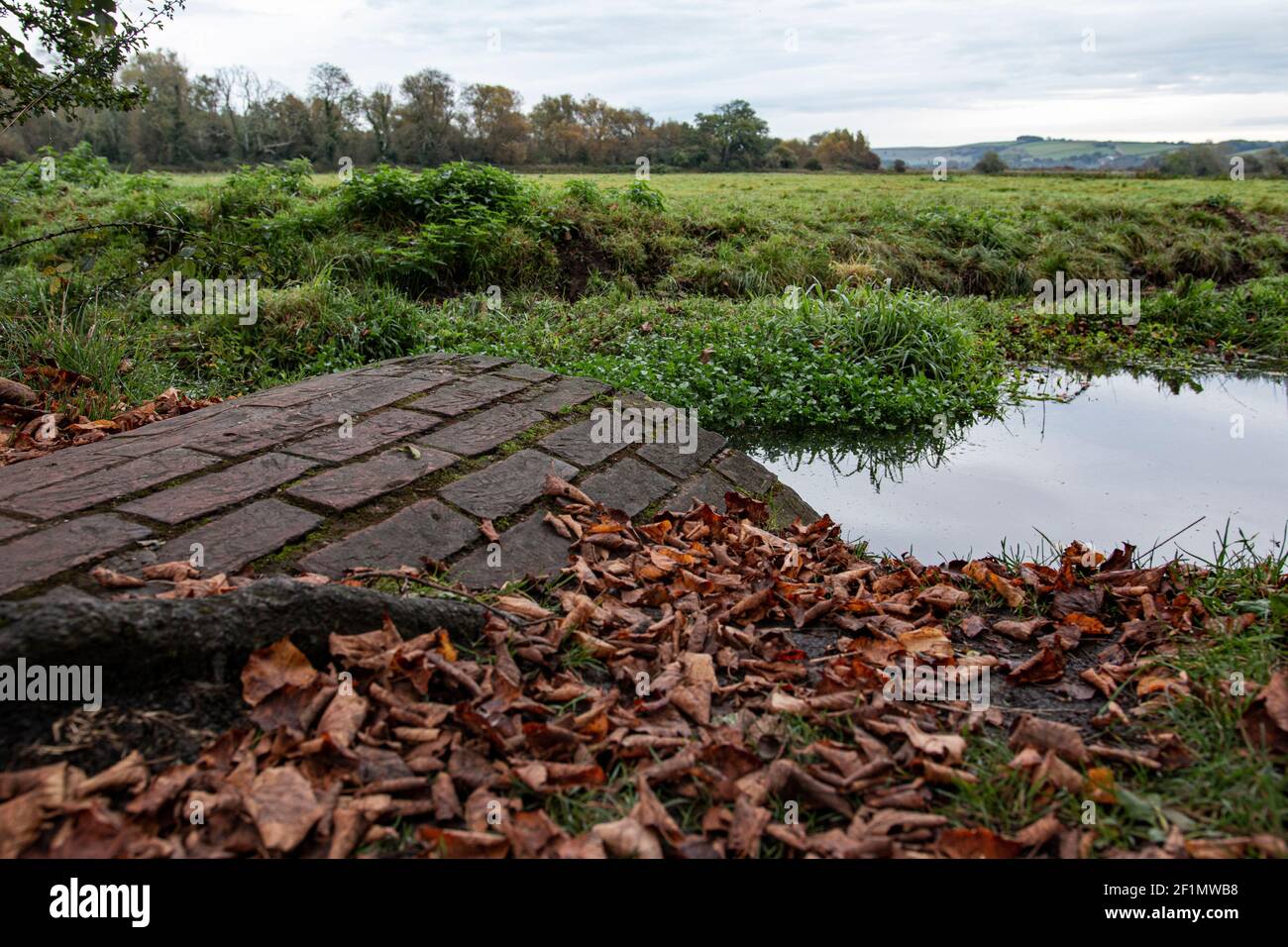 Storm drain outlet hi-res stock photography and images - Alamy