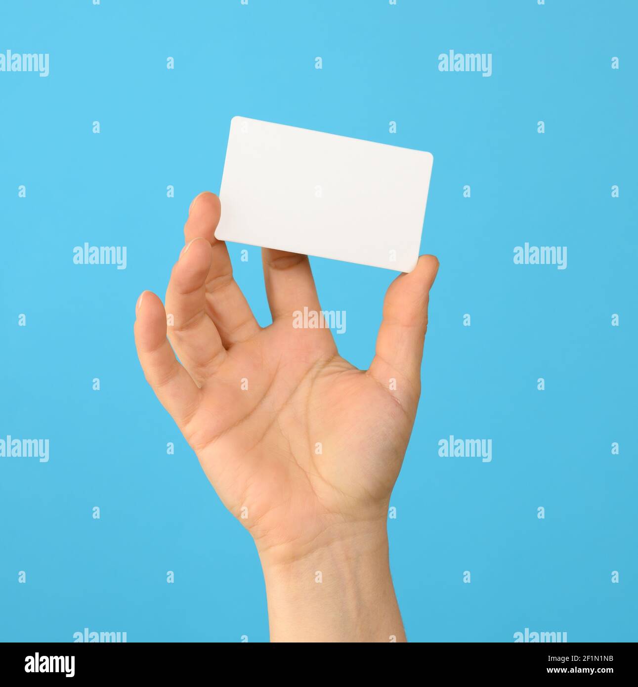 female hand holding a white black business card, blue background Stock ...
