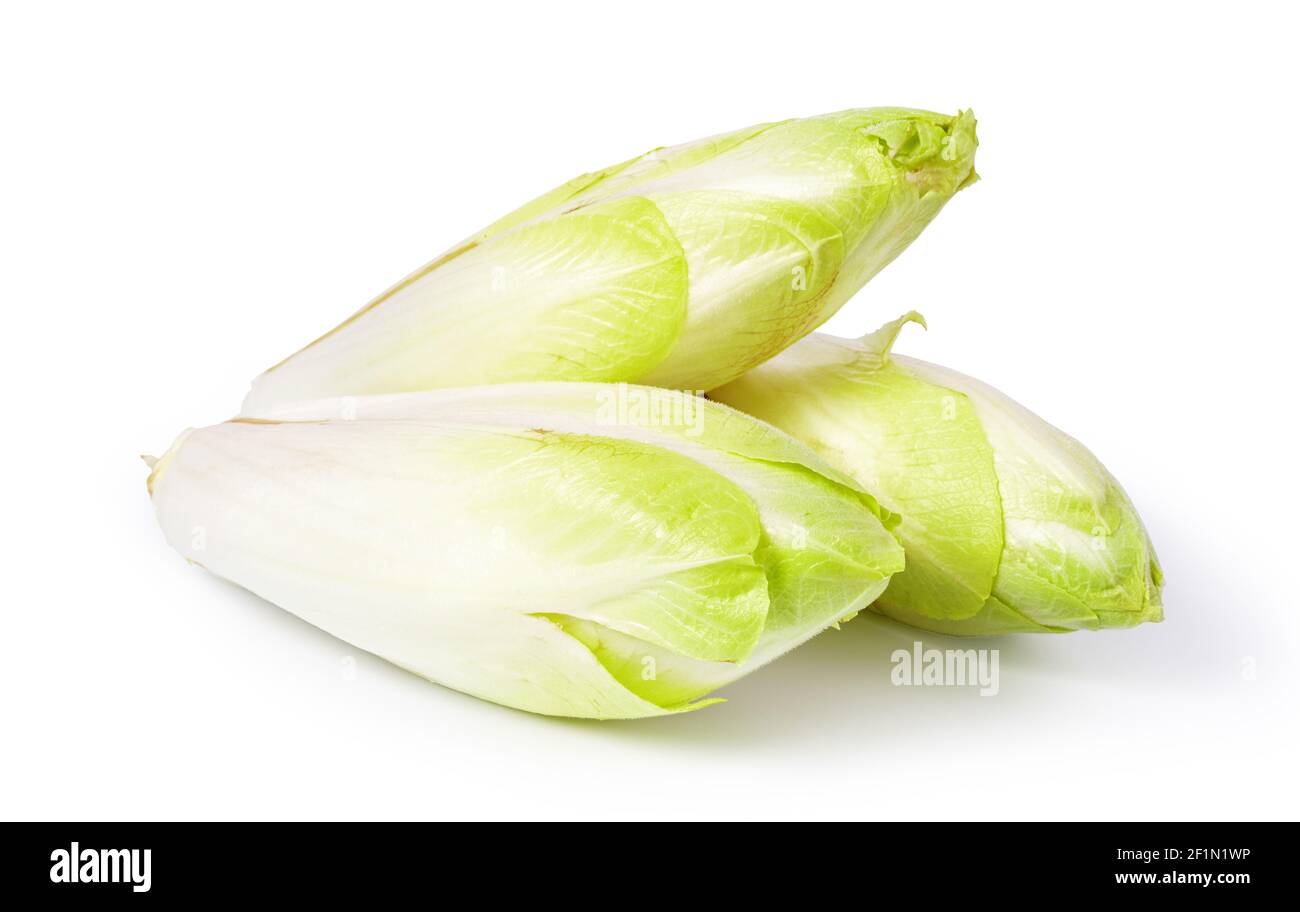 Salad endives isolated plant hi-res stock photography and images - Alamy