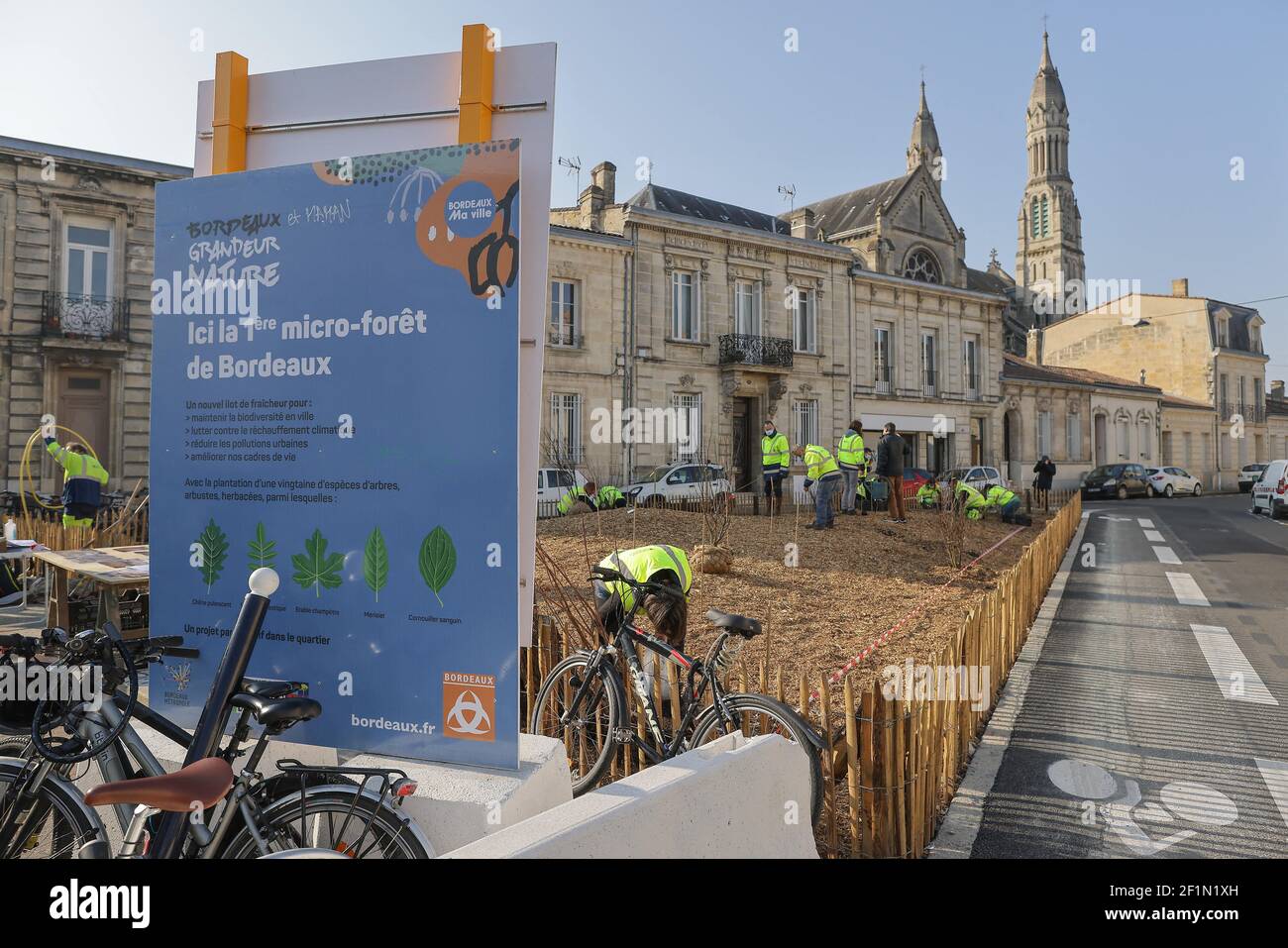 The mayor of Bordeaux, Pierre Hurmic, plants the city's first micro ...