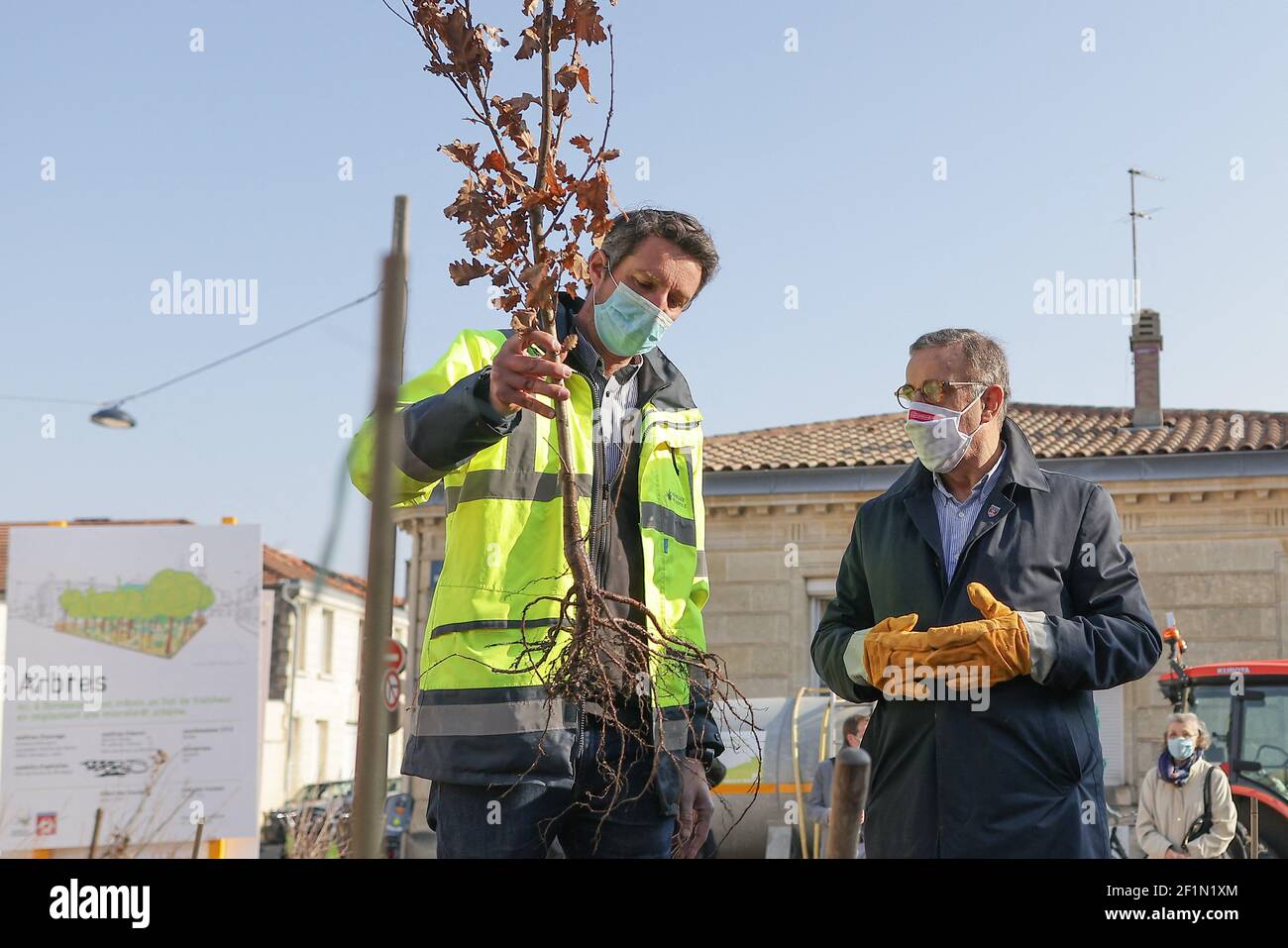 The mayor of Bordeaux, Pierre Hurmic, plants the city's first micro ...