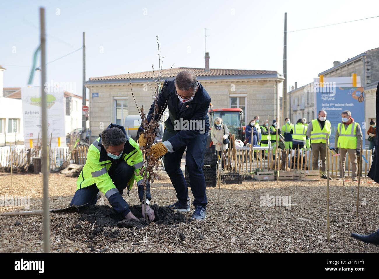 The mayor of Bordeaux, Pierre Hurmic, plants the city's first micro ...