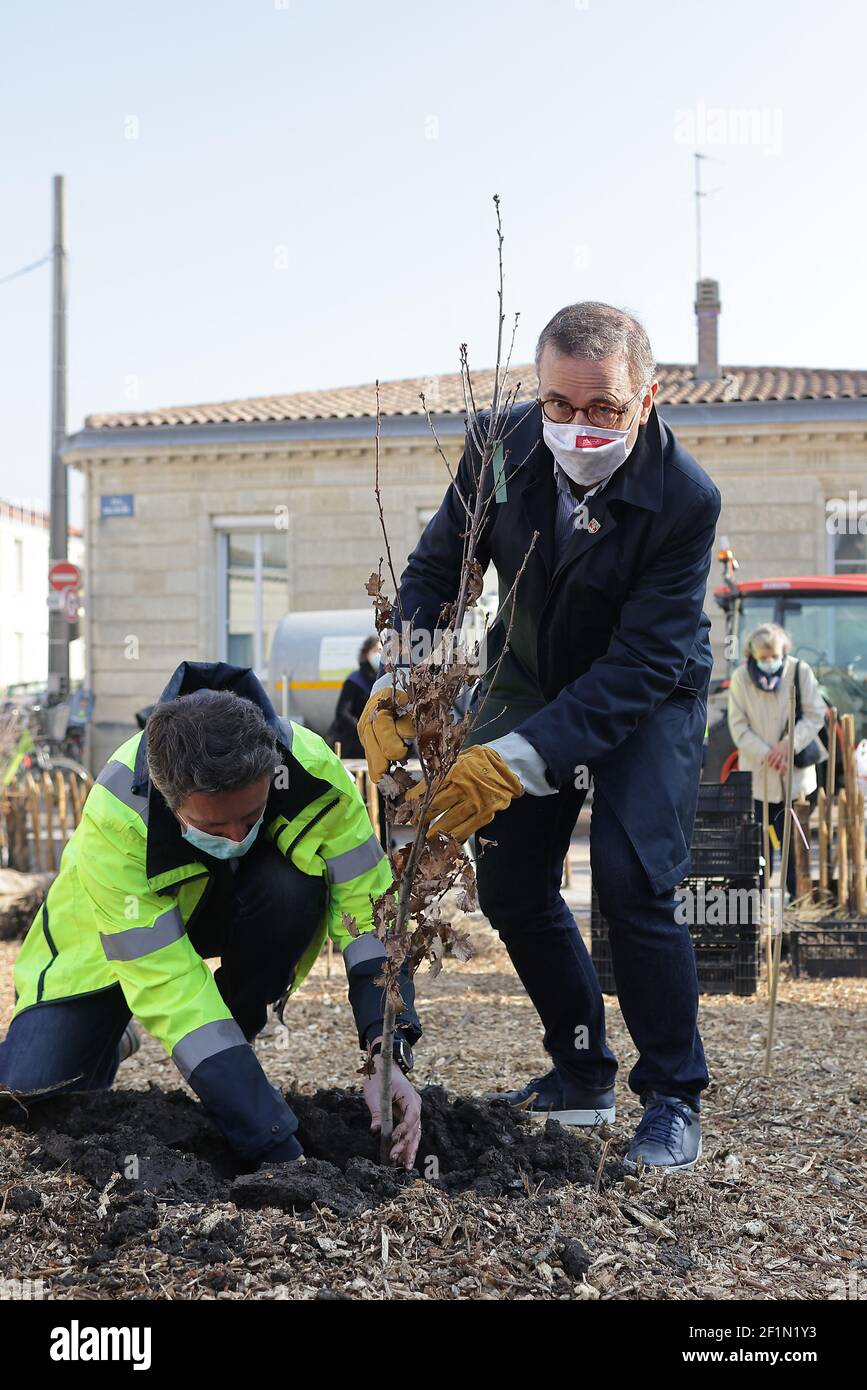 The mayor of Bordeaux, Pierre Hurmic, plants the city's first micro ...