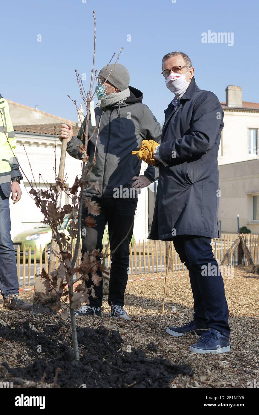 The mayor of Bordeaux, Pierre Hurmic, plants the city's first micro ...