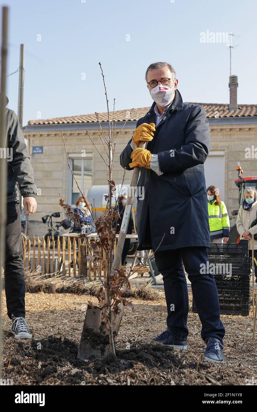 The mayor of Bordeaux, Pierre Hurmic, plants the city's first micro ...