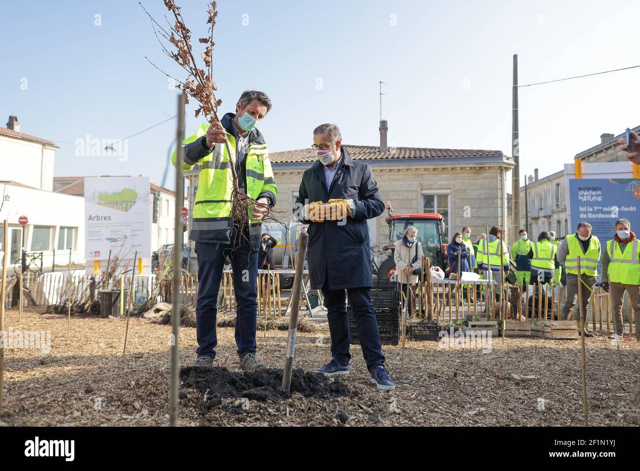 The mayor of Bordeaux, Pierre Hurmic, plants the city's first micro ...
