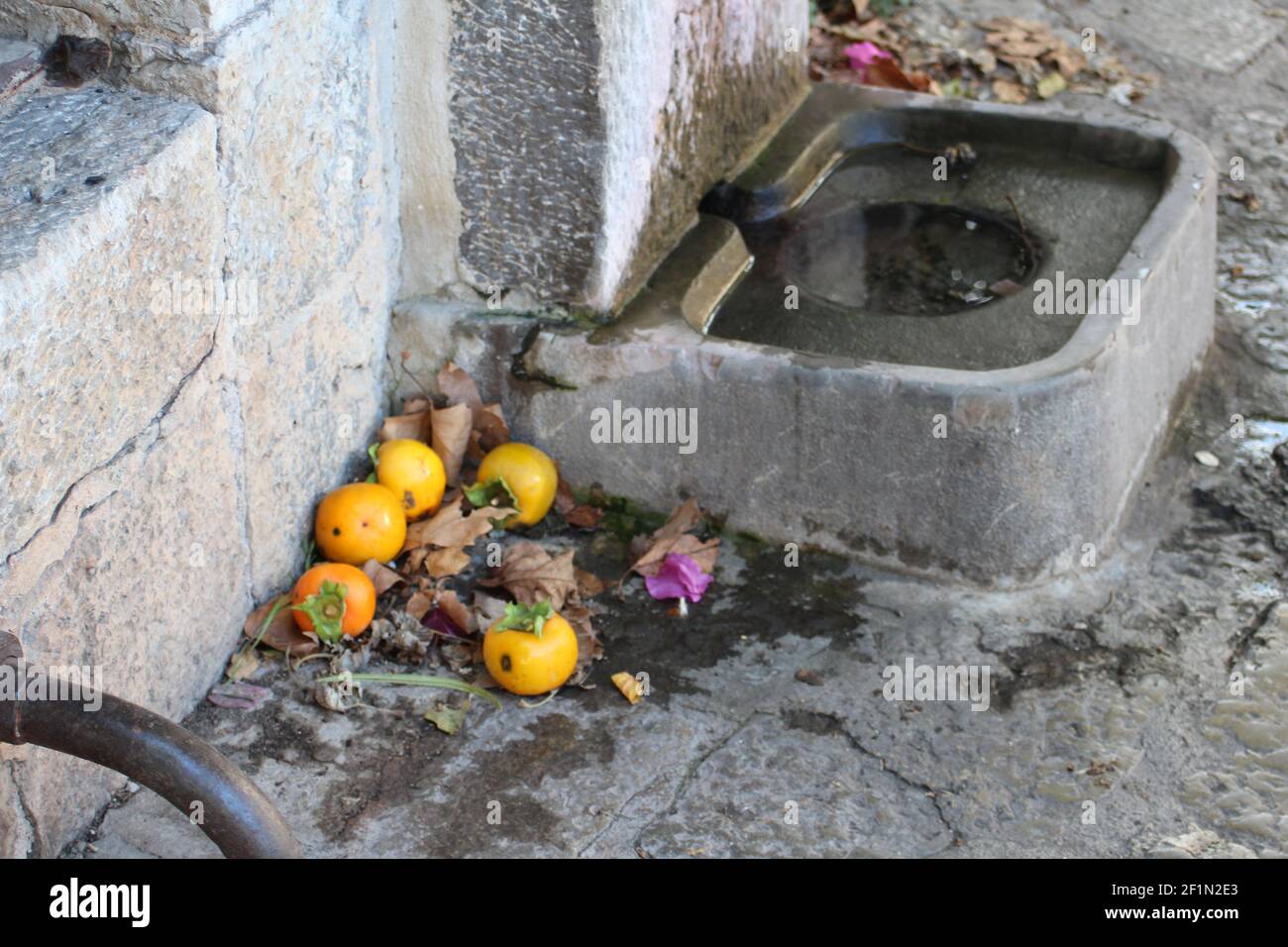 Discarded sink hi-res stock photography and images - Alamy